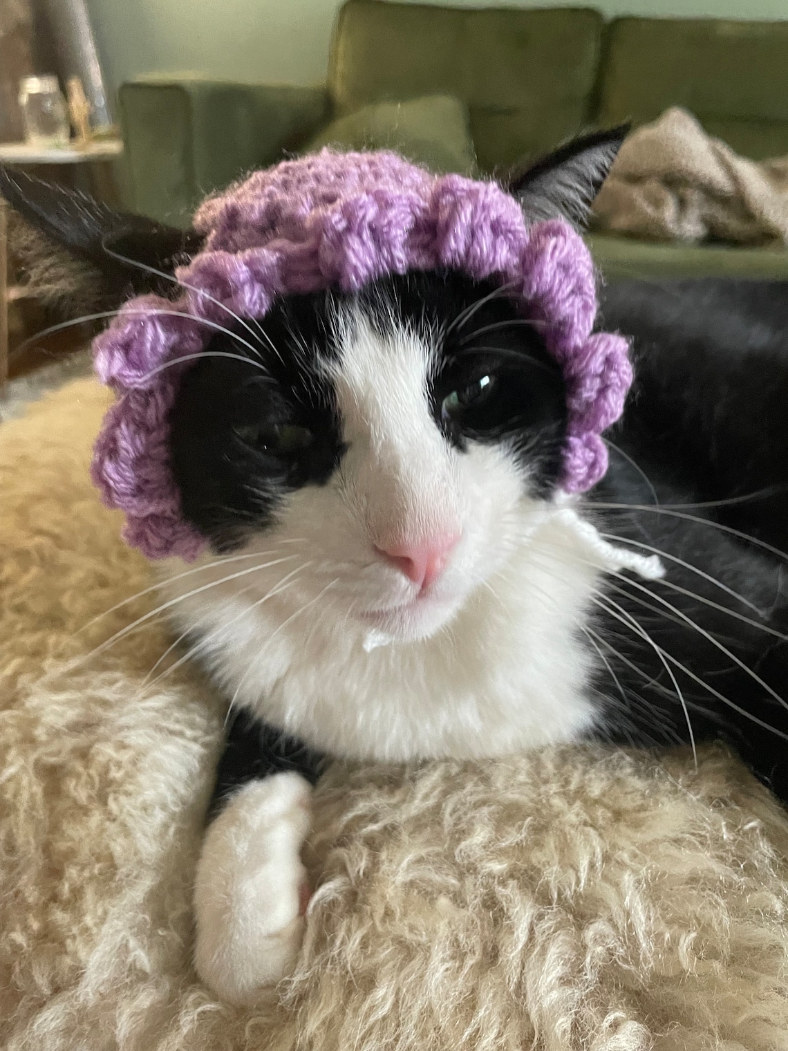Crochet Cat Hat Cat Bonnet Cat Accessories Cat Clothes - Etsy