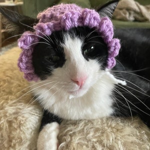Crochet Cat Hat Cat Bonnet Cat Accessories Cat Clothes - Etsy