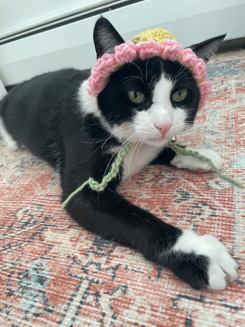 Crochet Cat Hat Cat Bonnet Cat Accessories Cat Clothes - Etsy