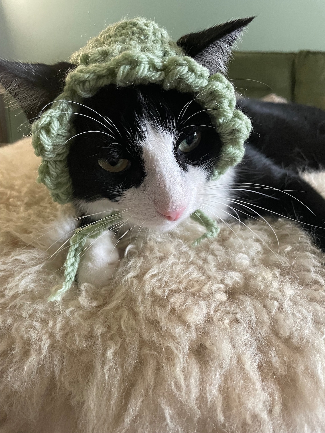 Crochet Cat Hat Cat Bonnet Cat Accessories Cat Clothes - Etsy