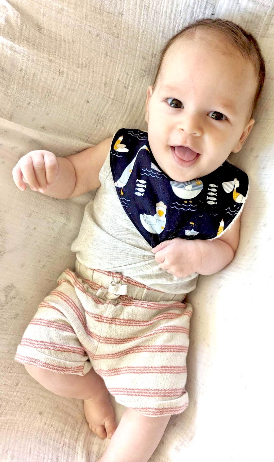 Baby Bib/adjustable Three Snap Baby Bib/nautical Bib/bird Bib/baby ...