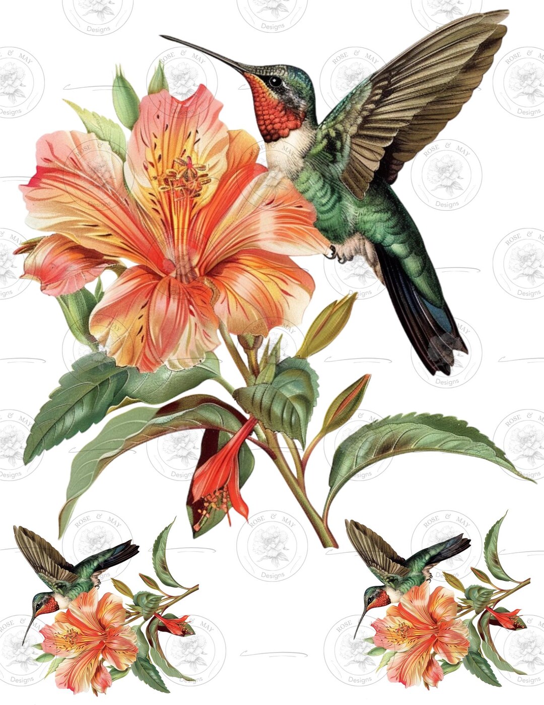 Hummingbird and Hibiscus/decoupage Paper,rice Paper, Rice Paper for ...