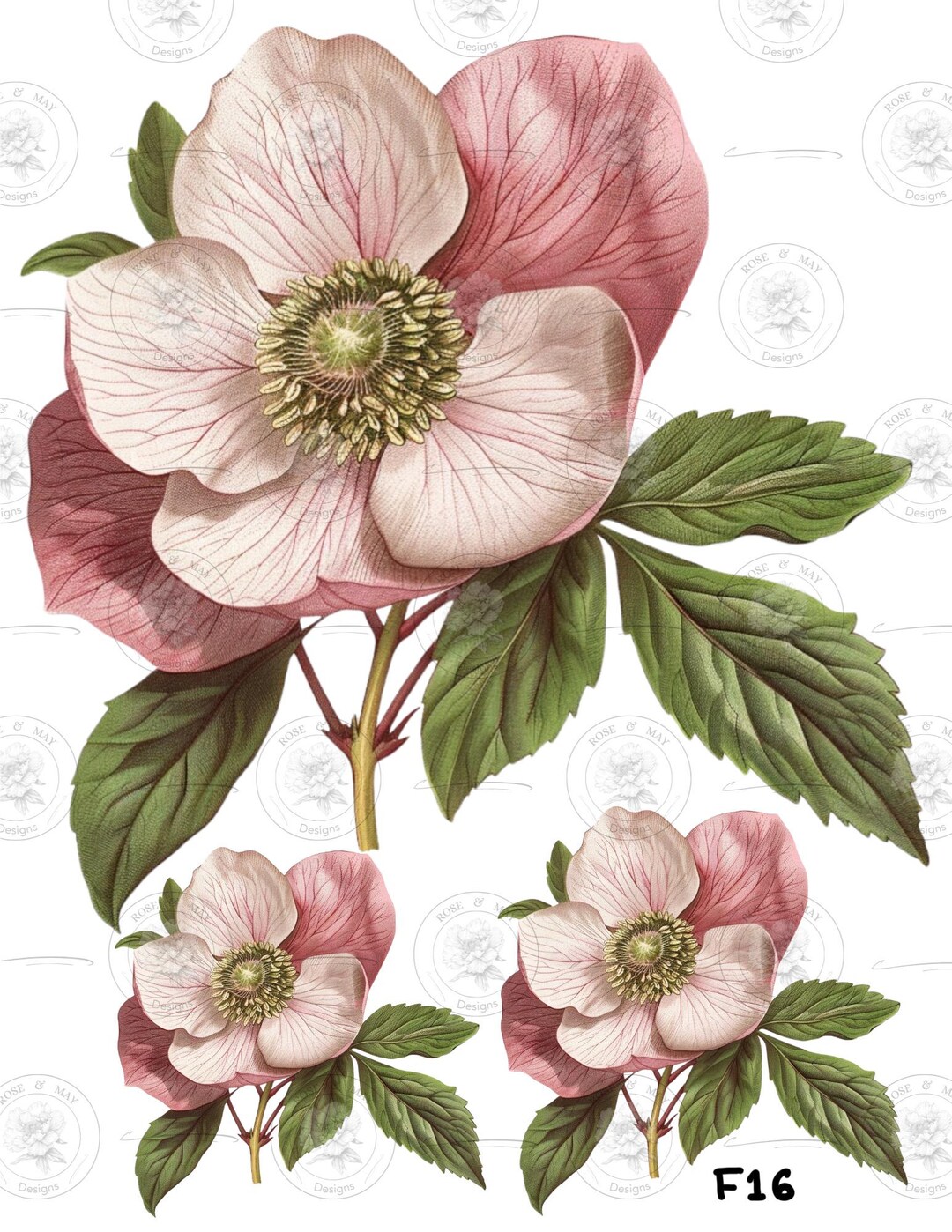 Vintage Pink Botanical Flower, Decoupage Paper, Rice Paper, Rice Paper ...