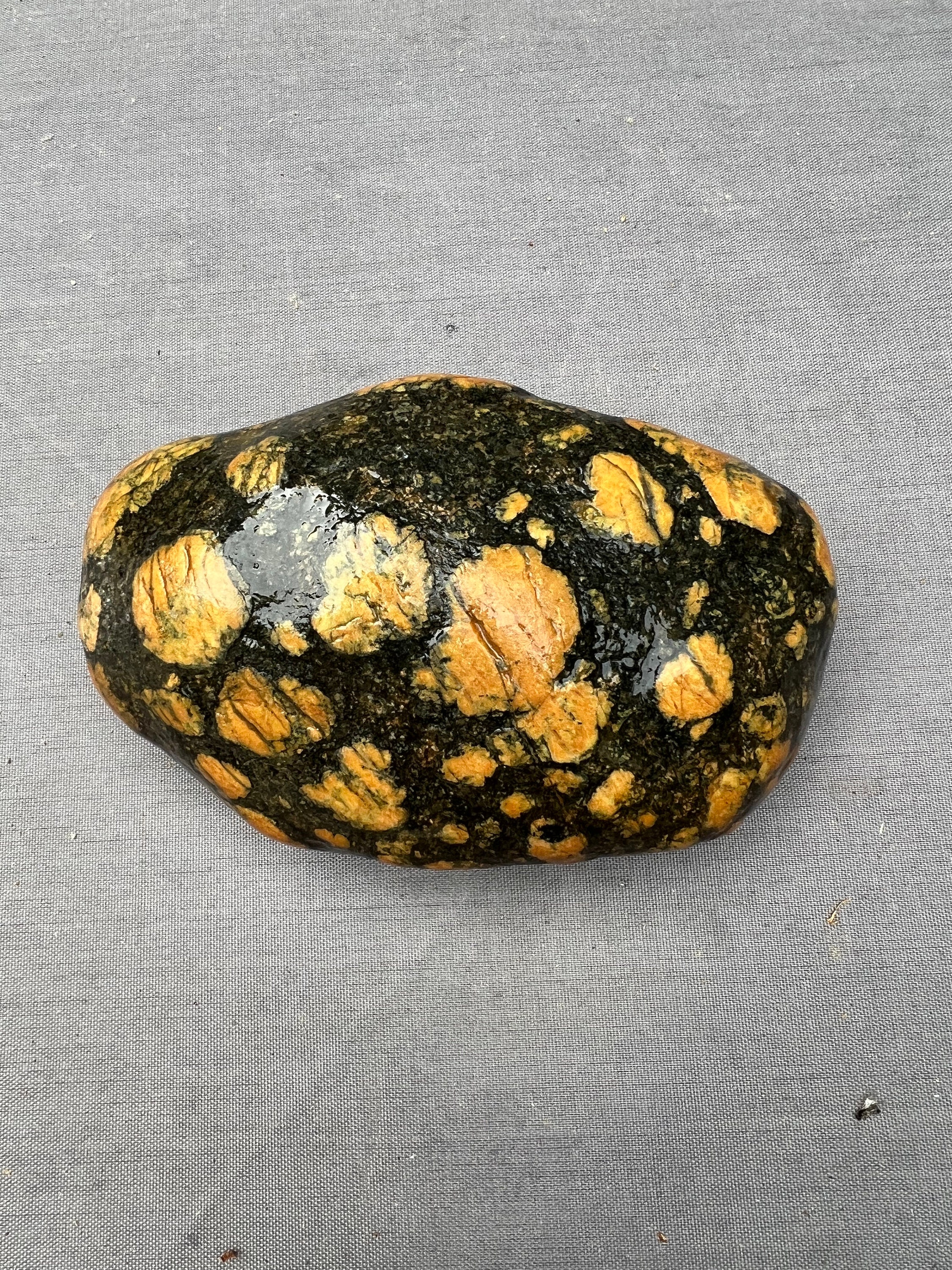 Porphyritic Rhyolite