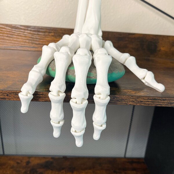 3d Print Skeleton Hand - Etsy