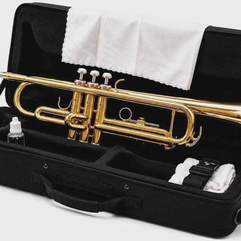 Custom Trumpet Case - Etsy