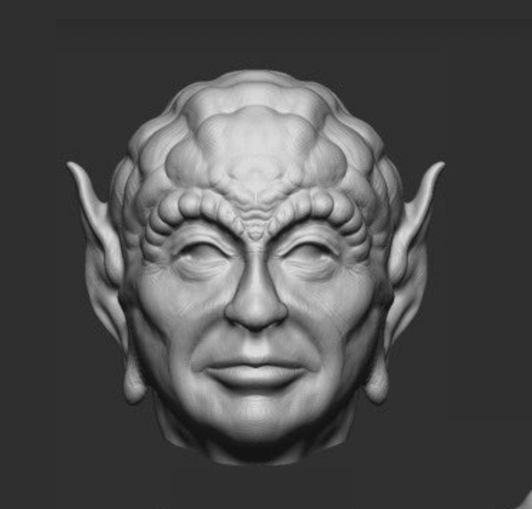 Yogurt From Spaceballs Inspired Mask 3D STL File Yogurt Inspired Mask ...