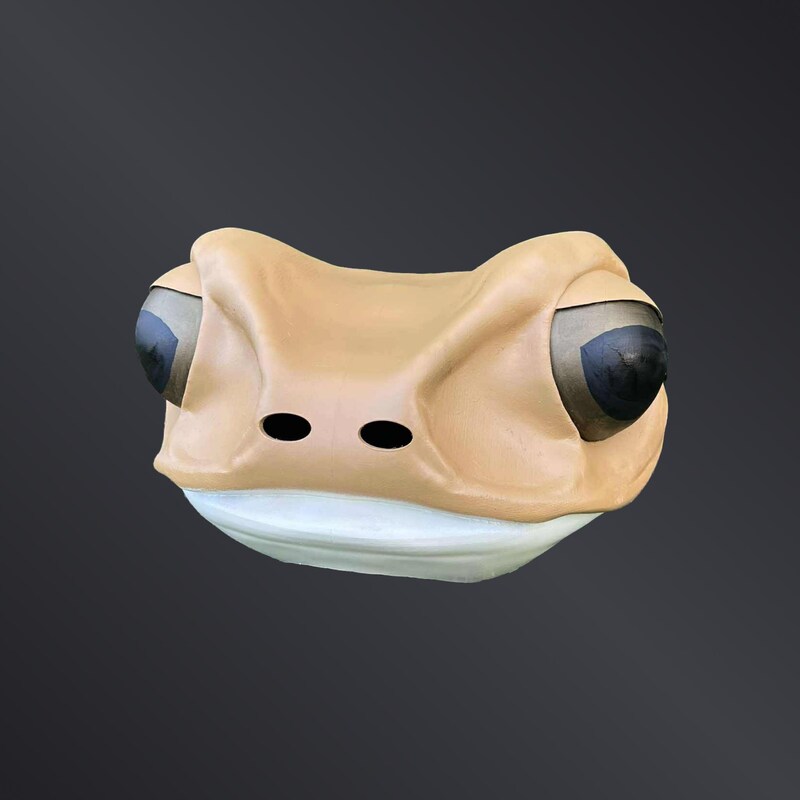 Frog Mask - Etsy