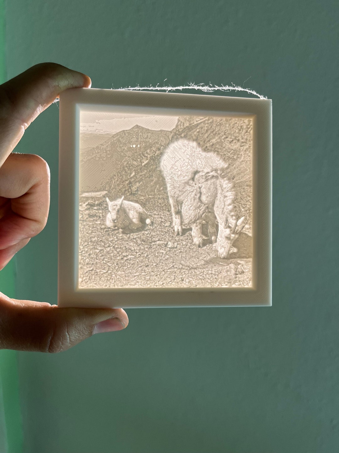 3D Printed Custom Photo Lithophane for in an Window - Etsy