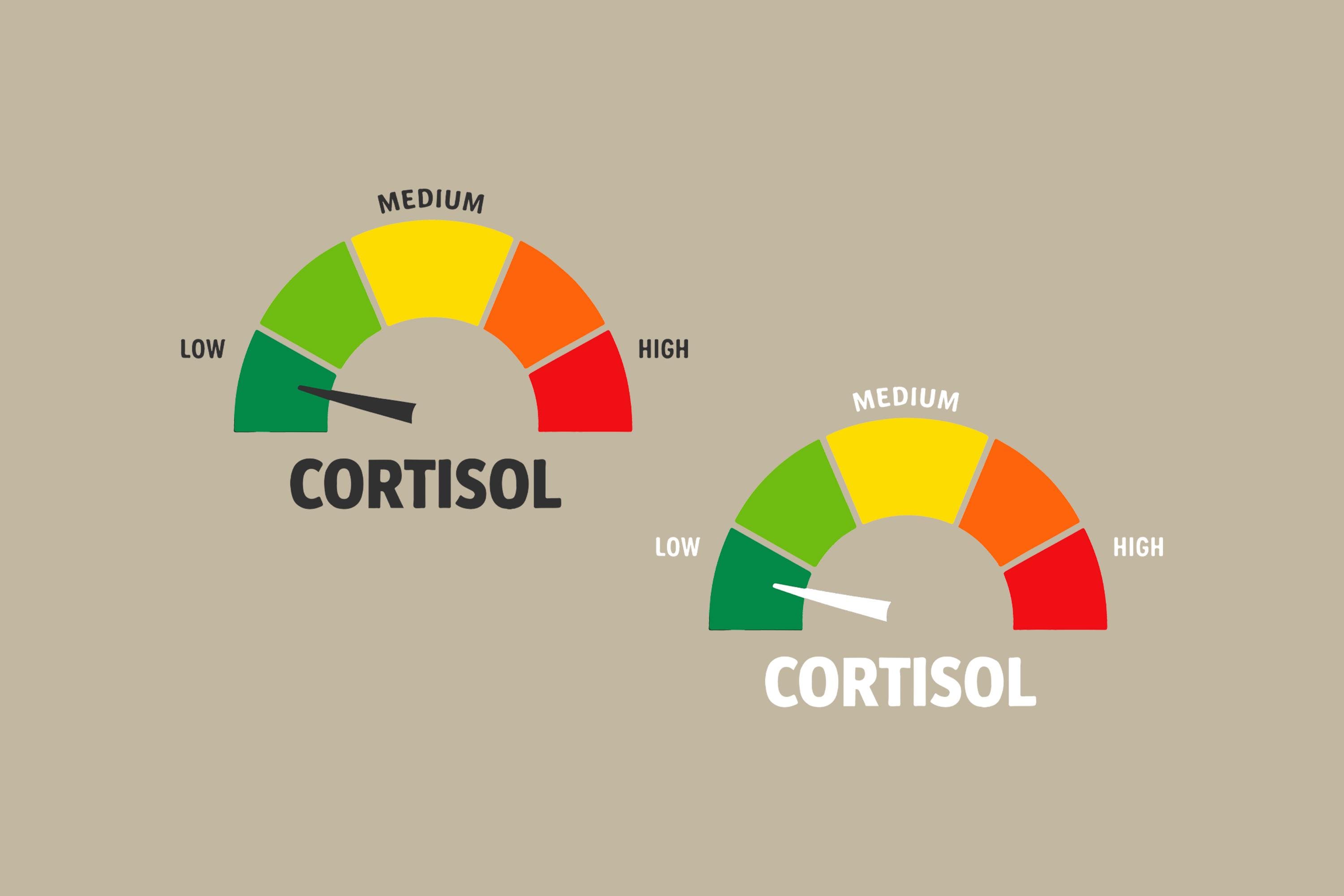 Low Cortisol Level PNG, Funny Stress Meme Png, Funny Cortisol Png ...
