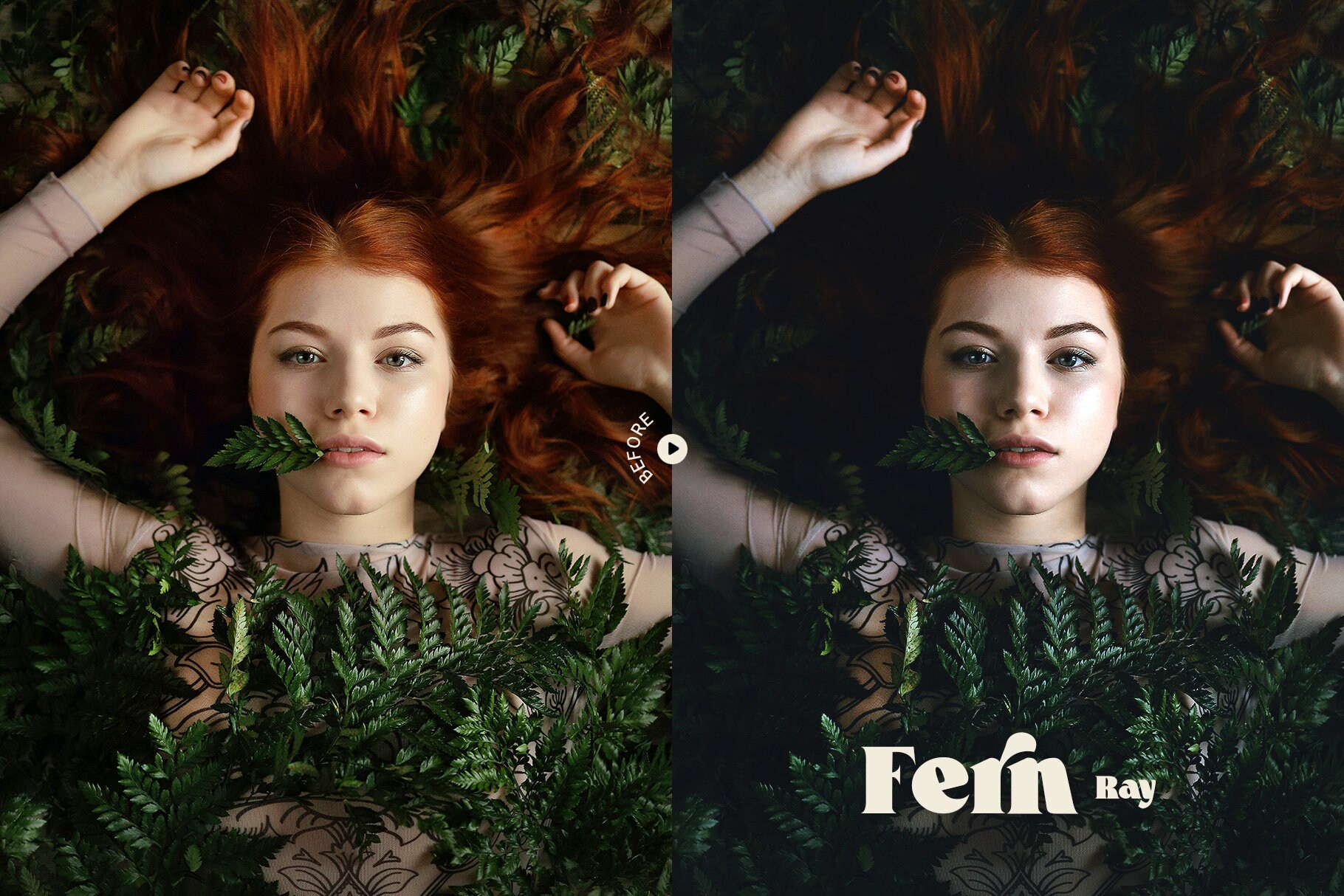 Fern Actions and Luts Cinematic Portrait Actions for Adobe - Etsy