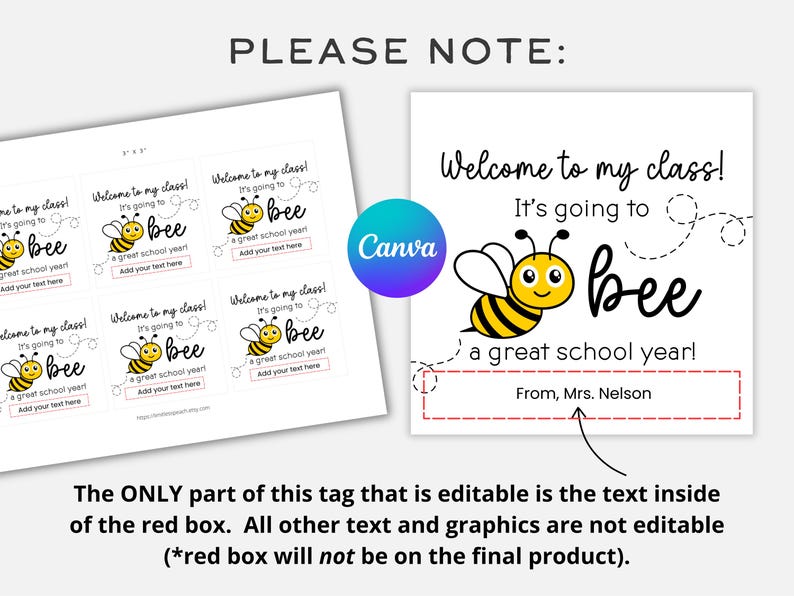 Student Welcome Gift Tag Printable Welcome to My Class Gift From ...