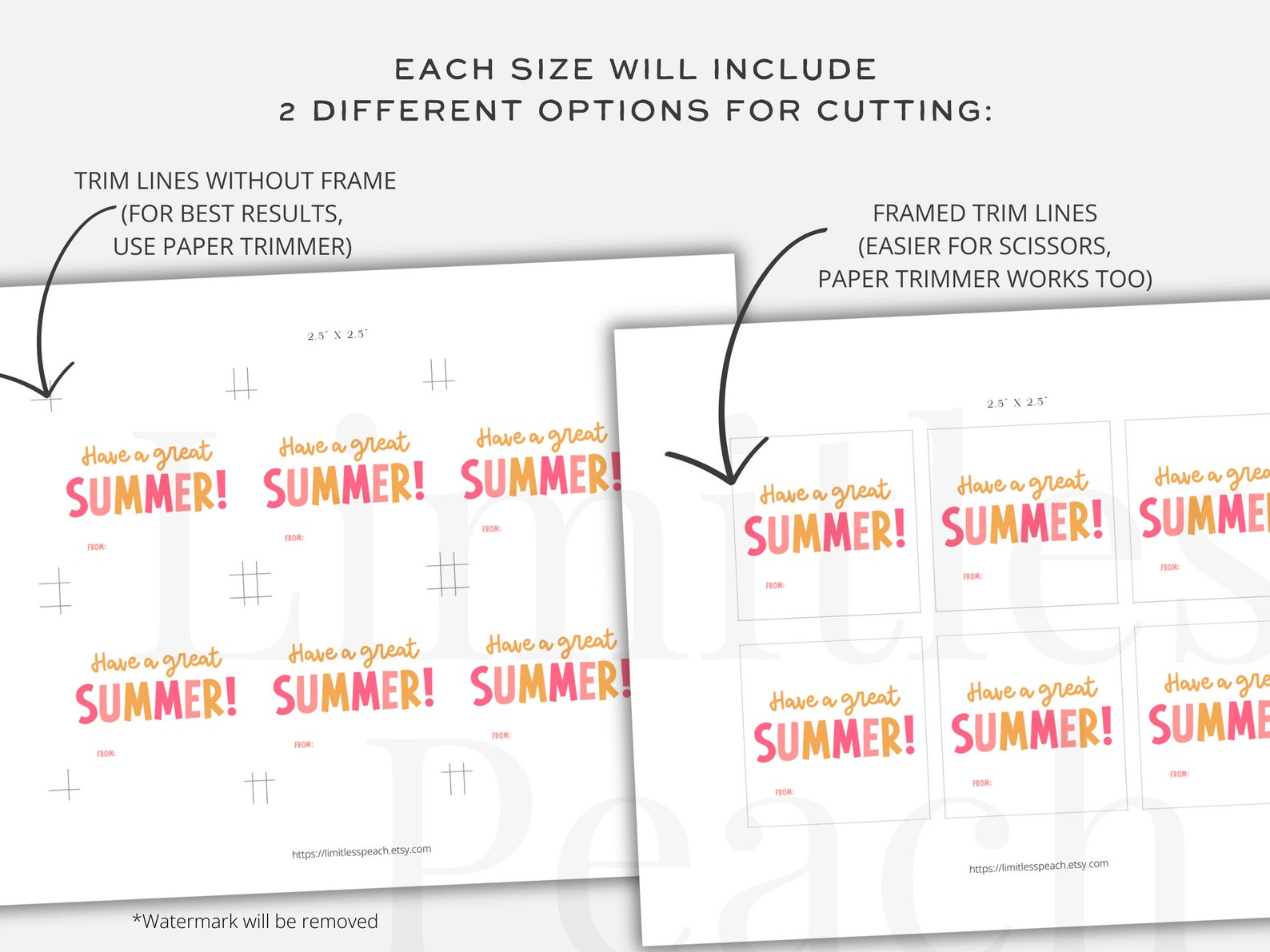 Have a Great Summer Gift Tag, Printable Teacher End of the School Year ...