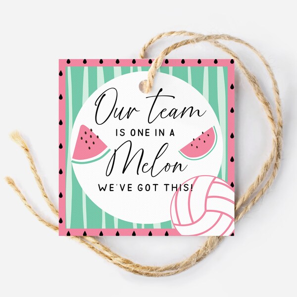 Volleyball Treat Tags - Etsy