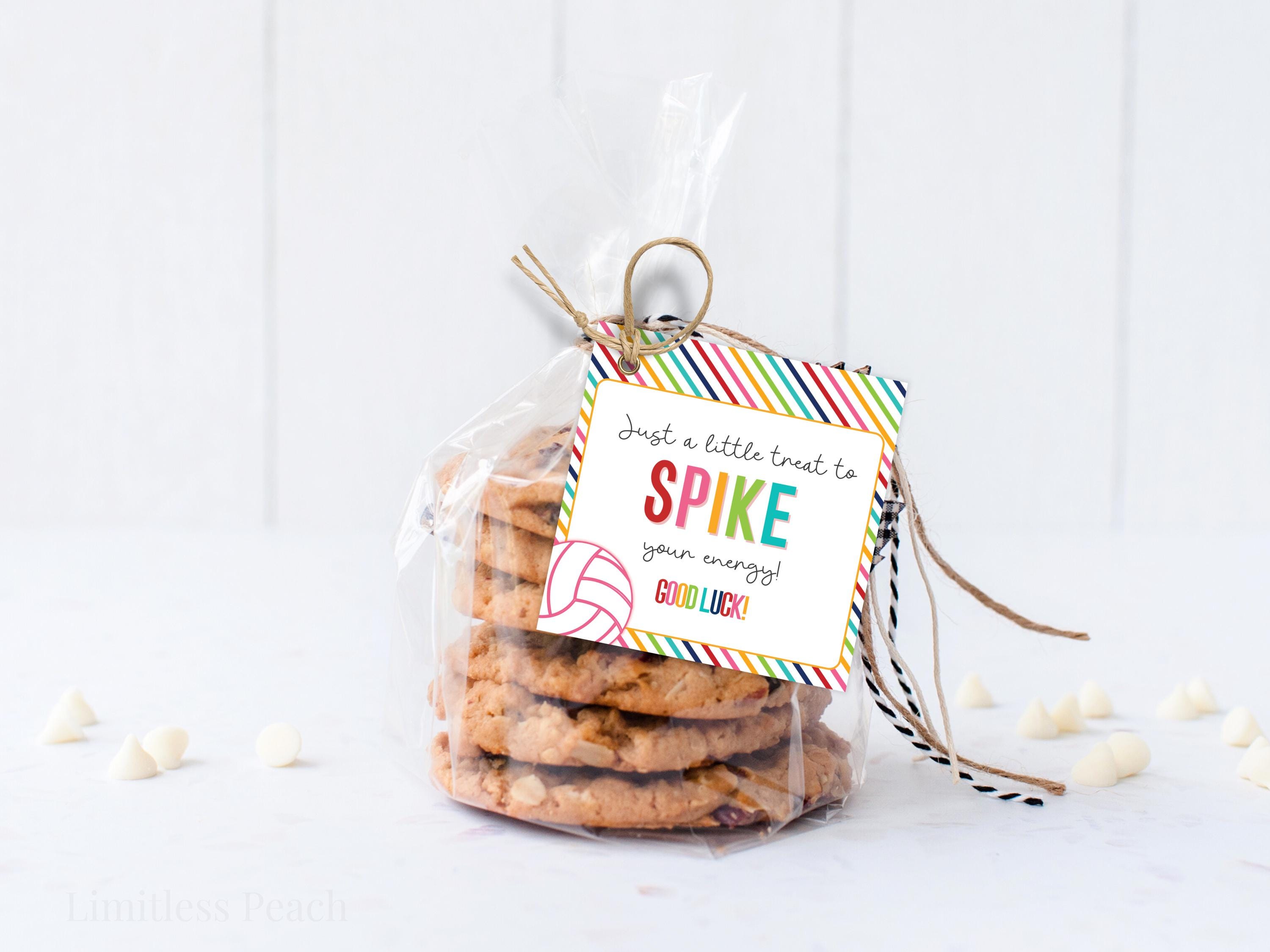 Volleyball Treat Tag, Candy Tag for Volleyball, Good Luck Volleyball ...