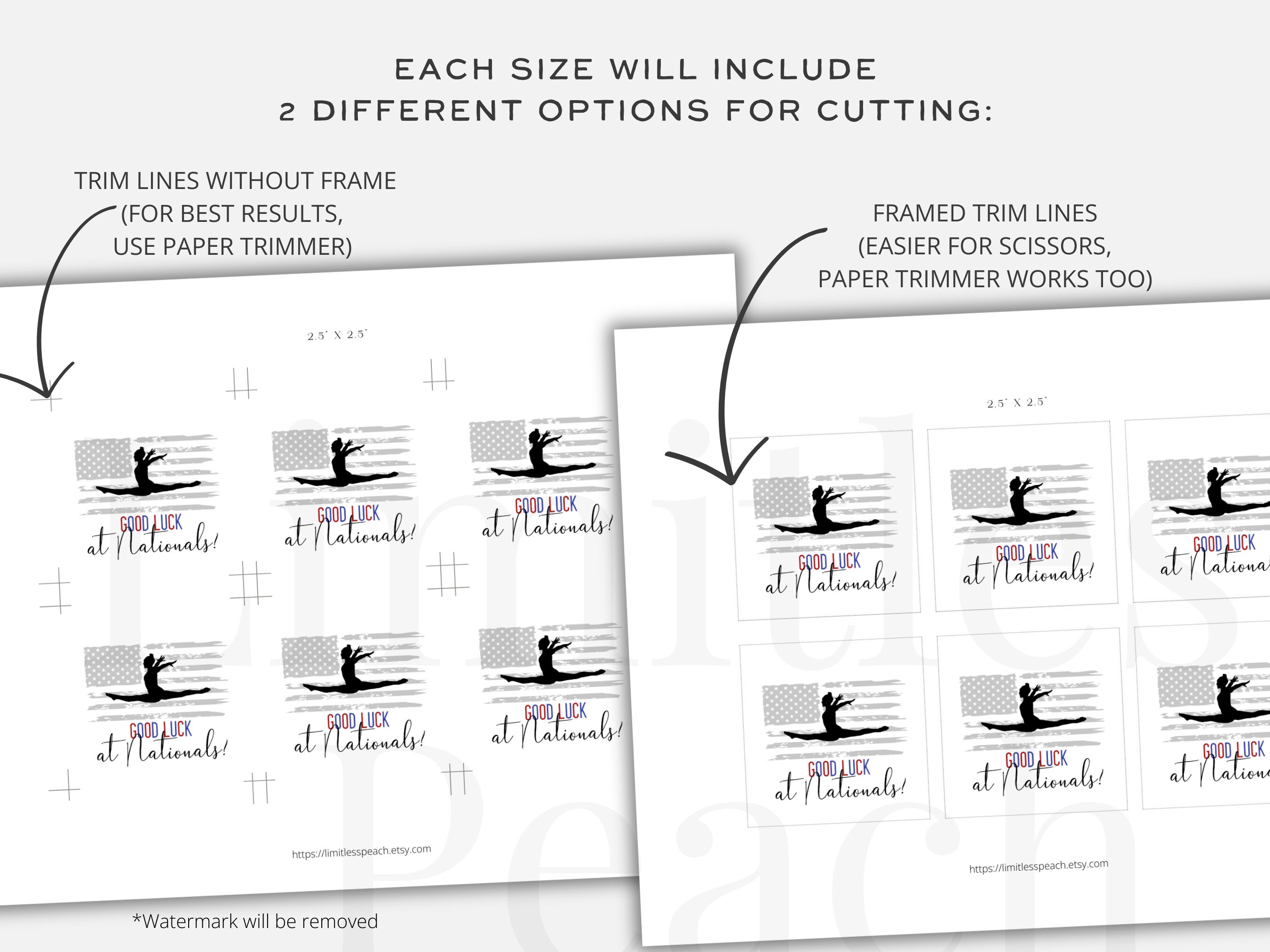 Printable Good Luck at Nationals Gymnastics Tag, Competition Day Team ...