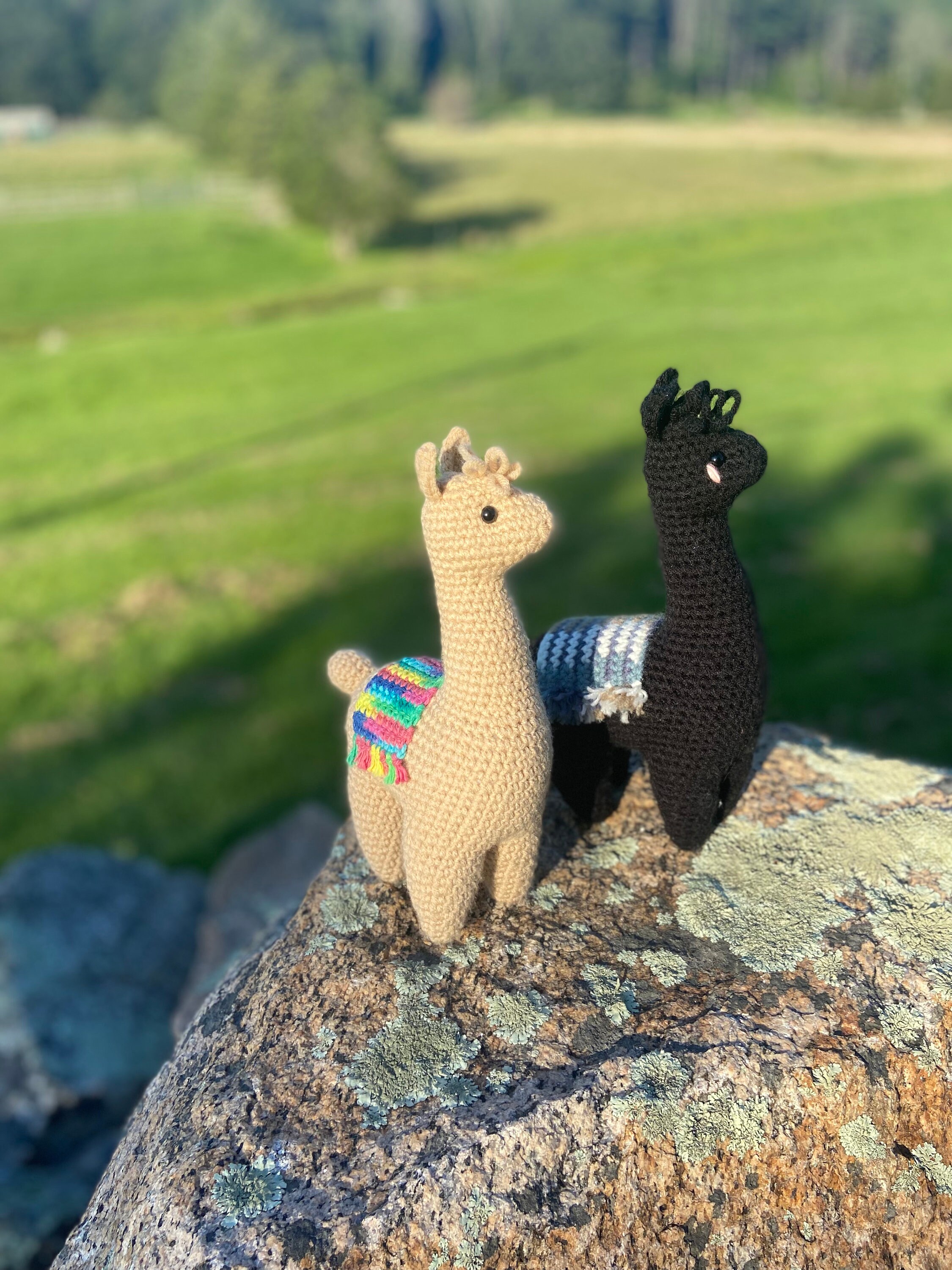 Crochet Drama Llamas - Etsy
