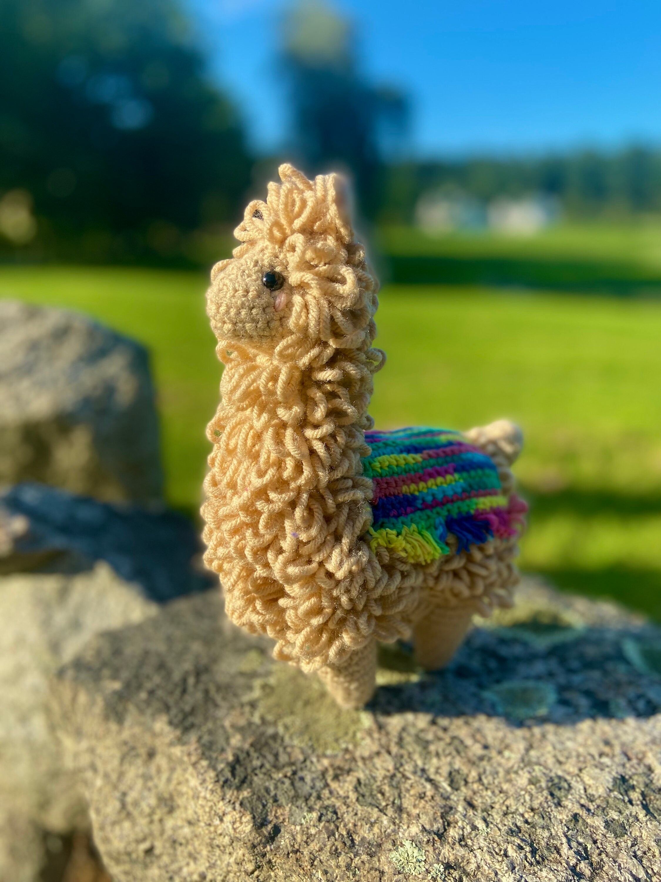 Crochet Drama Llamas - Etsy