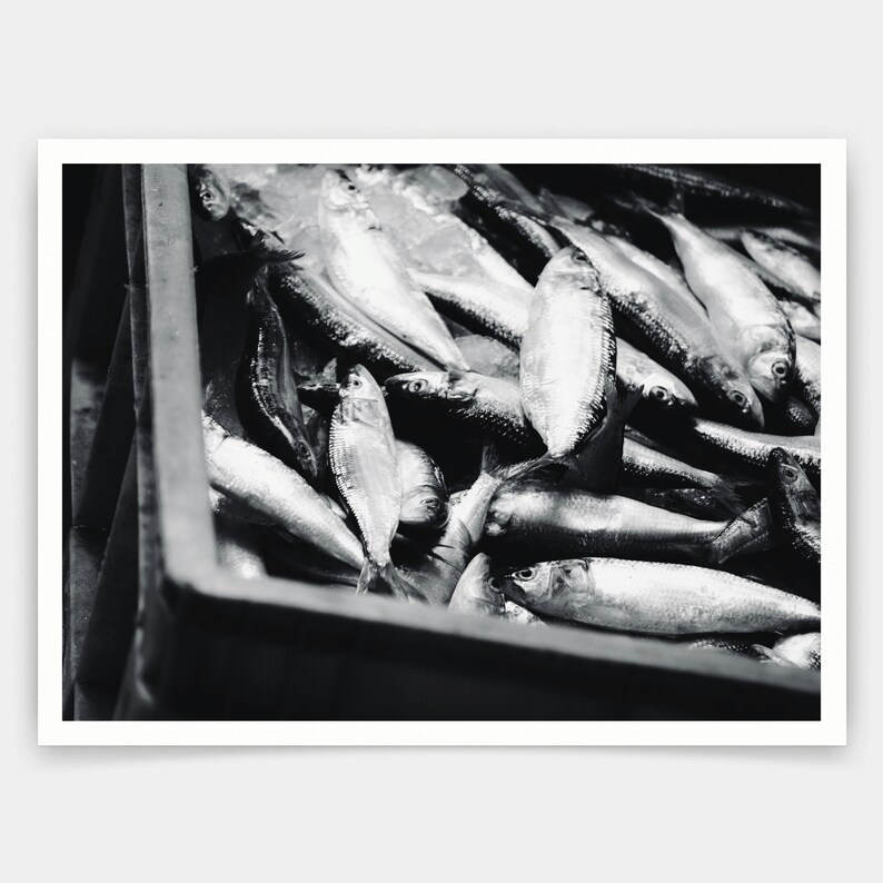Fishmonger Photography |market Wall Art |rustic Kitchen Decor |culinary ...