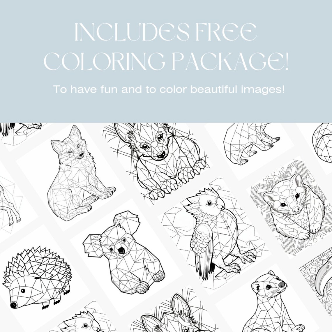 16 Animals Flashcards + Free Coloring Package | Printable Animals ...