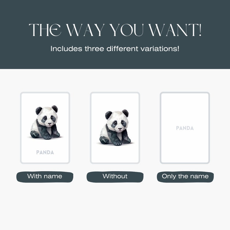 16 Animals Flashcards + Free Coloring Package | Printable Animals ...