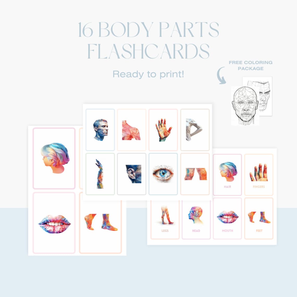 16 Body Parts Flashcards Free Coloring Package Body Part Flashcards ...