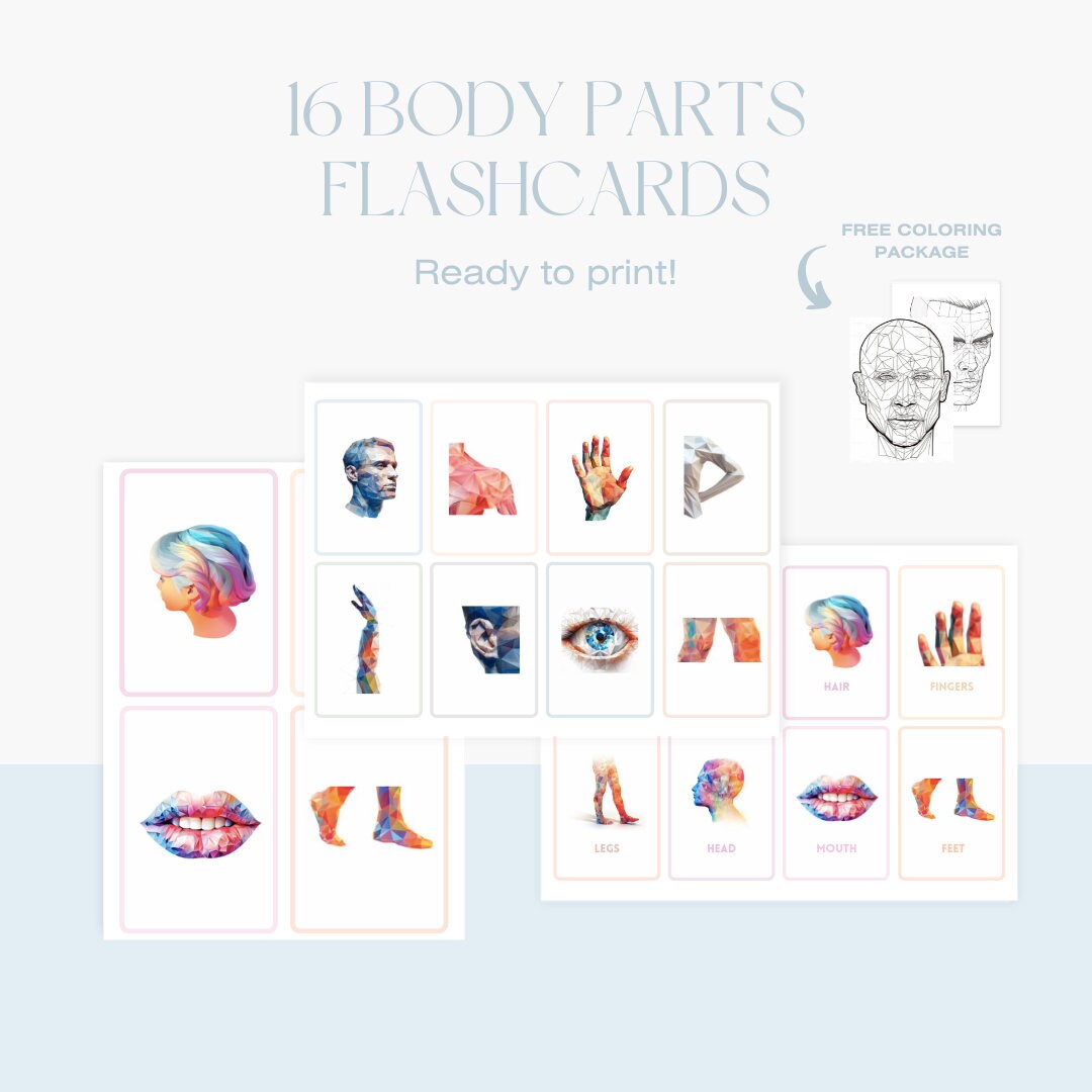 16 Body Parts Flashcards Free Coloring Package Body Part Flashcards ...