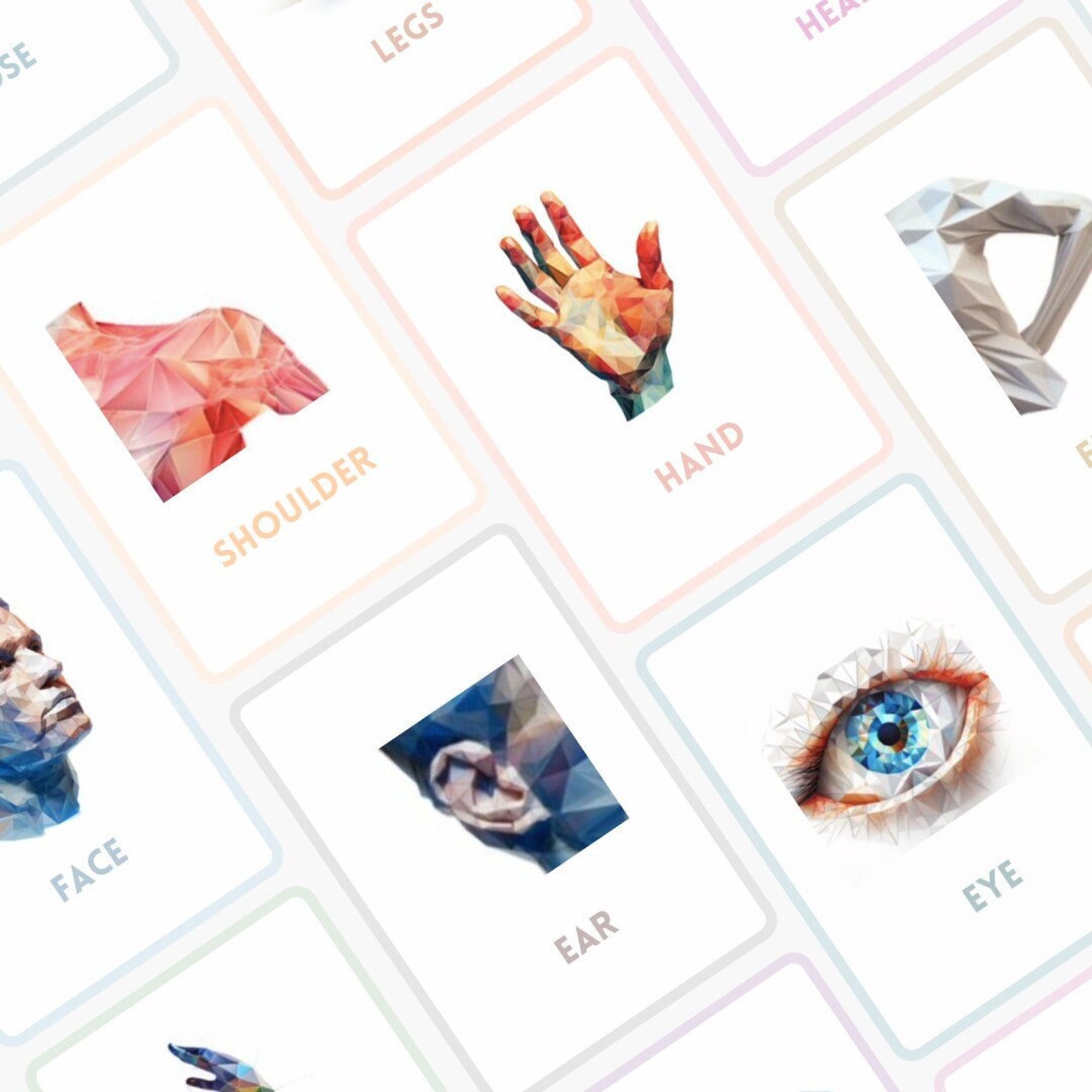 16 Body Parts Flashcards + Free Coloring Package | Body Part Flashcards ...