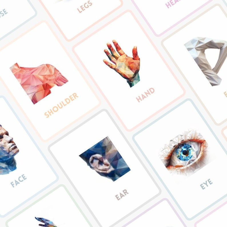 16 Body Parts Flashcards + Free Coloring Package | Body Part Flashcards ...