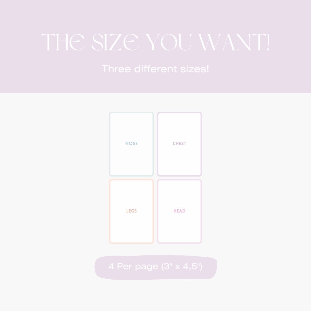 16 Body Parts Flashcards Free Coloring Package Body Part Flashcards ...