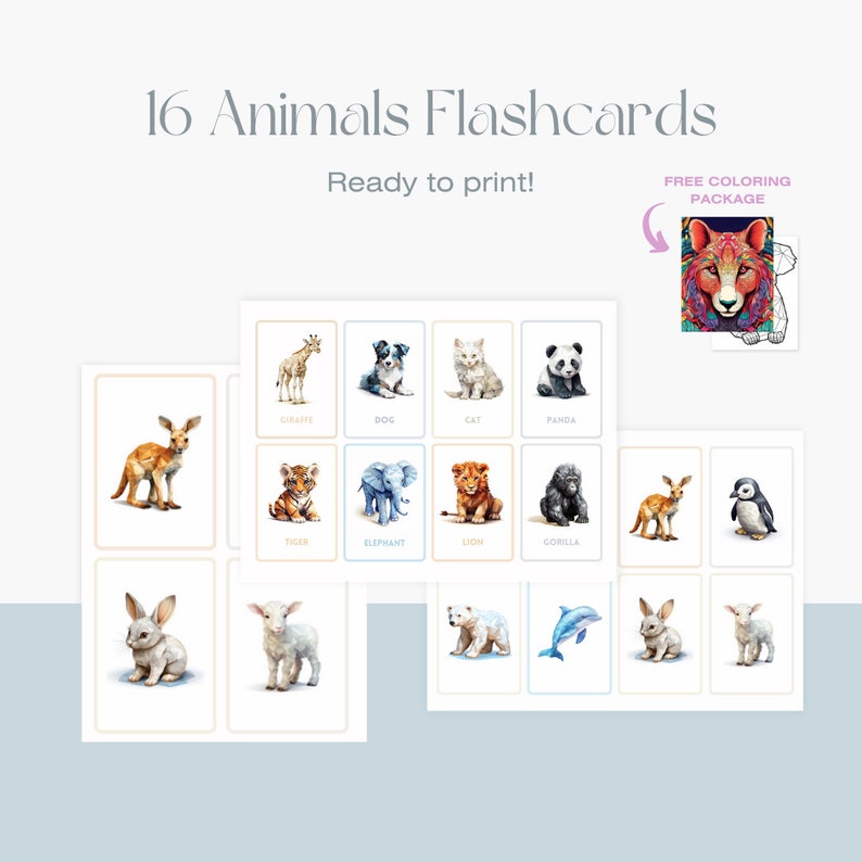 16 Animals Flashcards + Free Coloring Package | Printable Animals ...