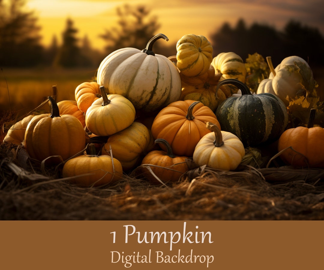 Autumn Pumpkin Digital Backdrop for Kids Portrait Thanksgiving Fall ...