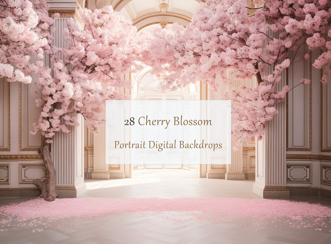 Portrait Background Cherry Blossom Trees Beautiful White Rooms Hallway ...