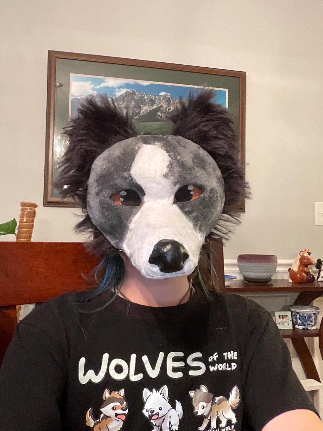 Border Collie Mask - Etsy