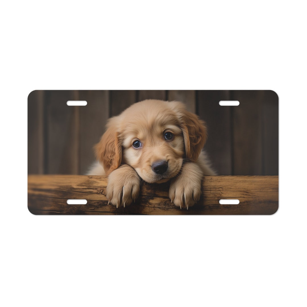 Golden Retriever Vanity Plate - Etsy