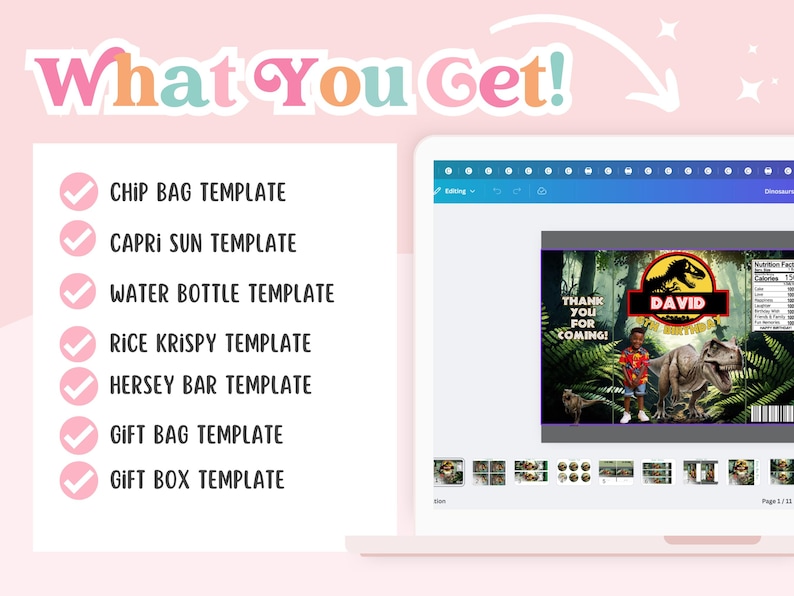 Ultimate Dinosaur Editable Canva Template Bundle, Chip Bag ,water ...