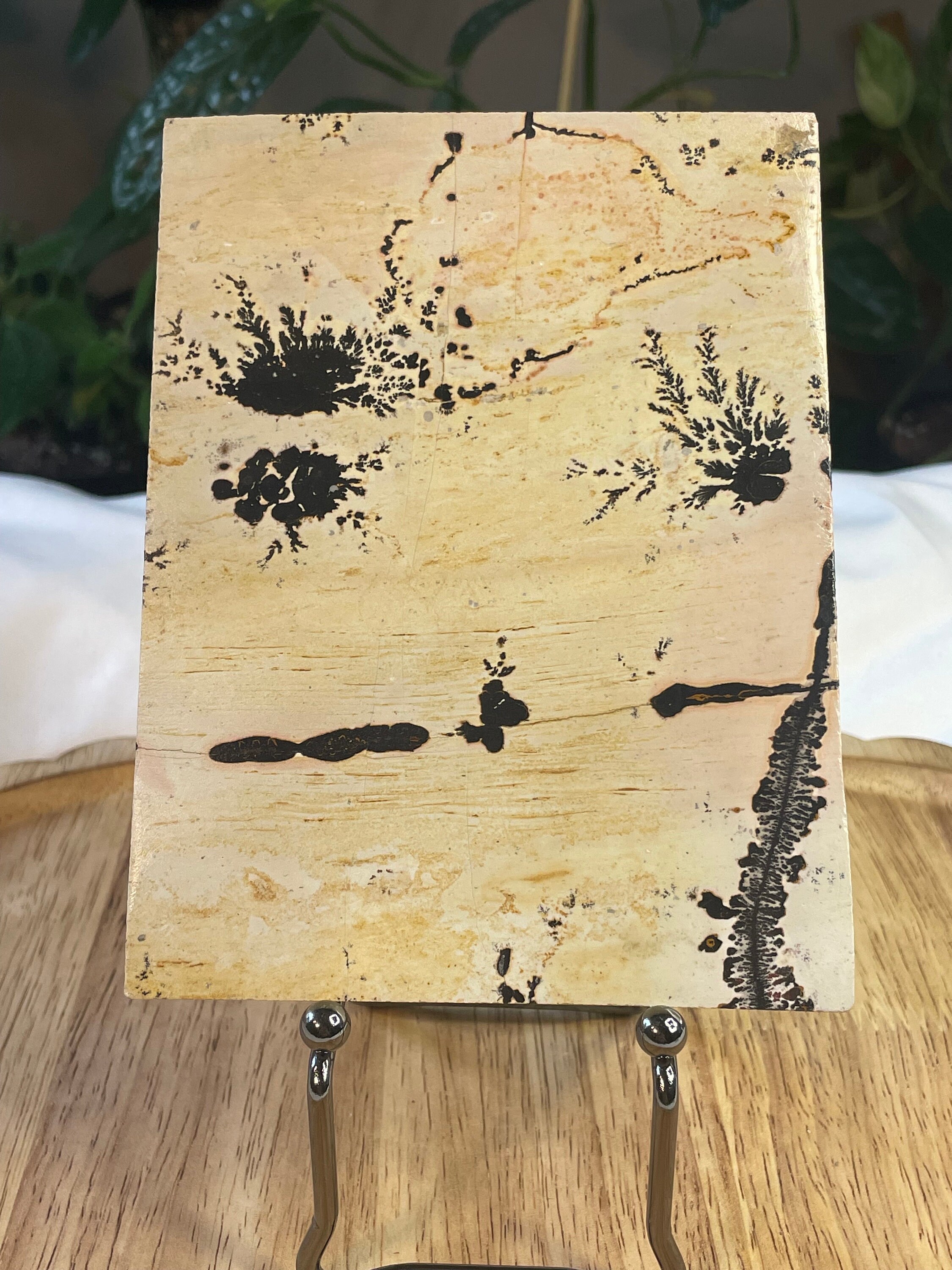 Picture Jasper Slab - Etsy