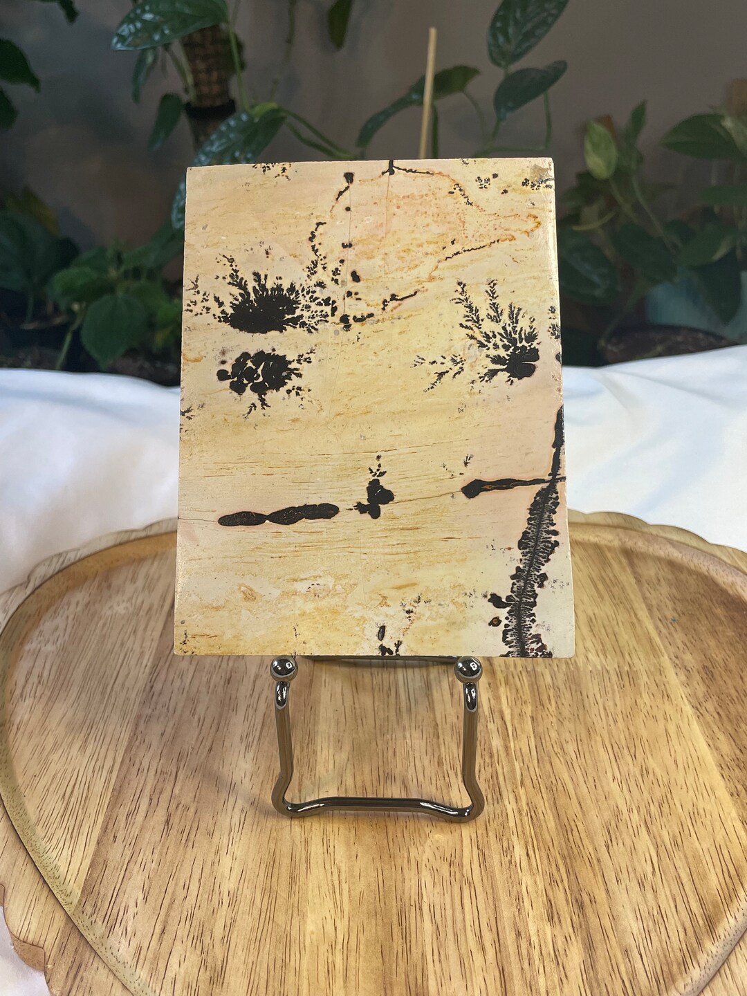 Picture Jasper Slab With Display Stand - Etsy