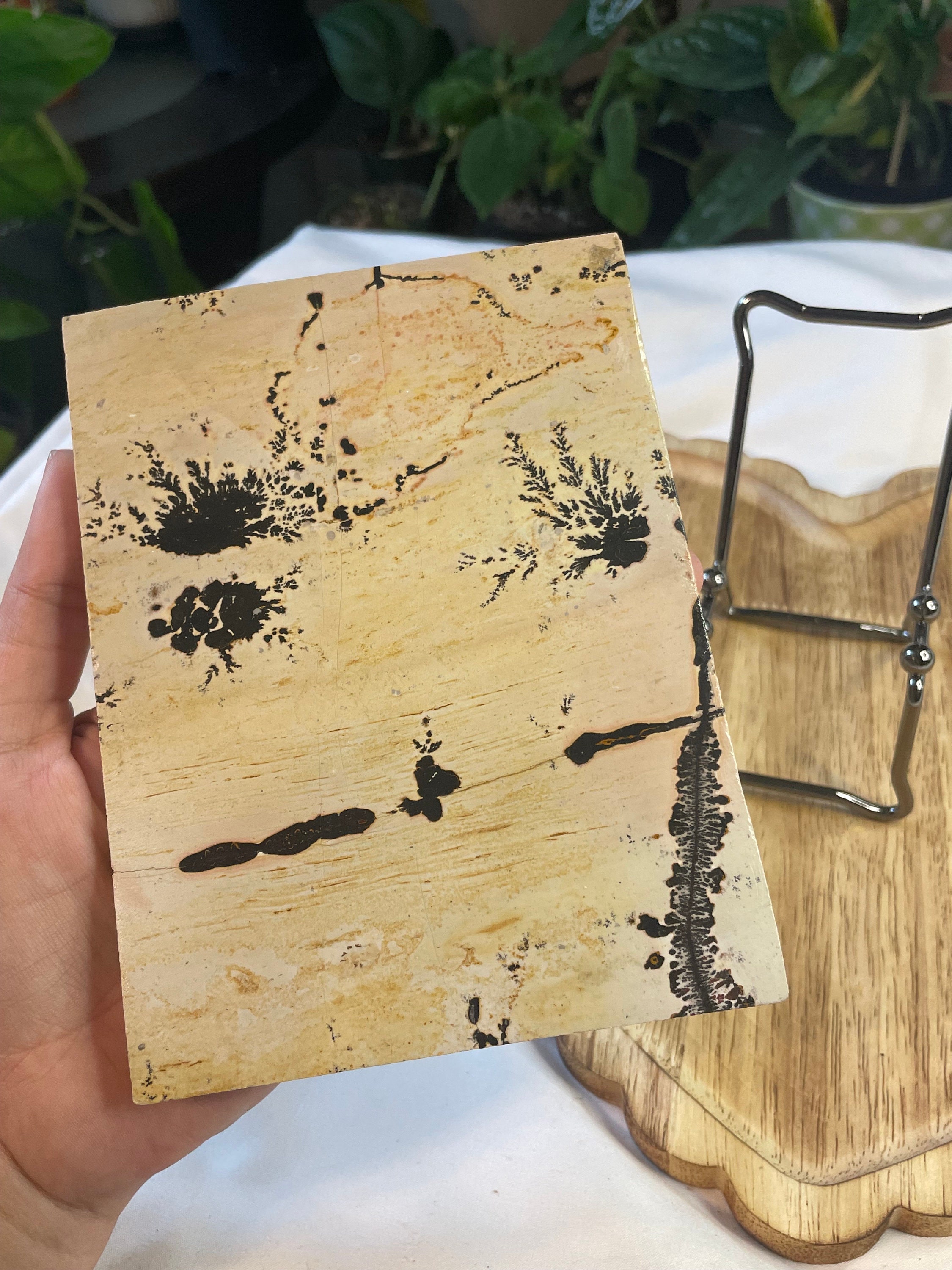 Picture Jasper Slab - Etsy