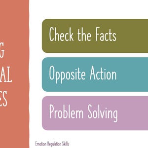Opposite to Emotion Action - A DBT Emotion Regulation Skill - Etsy