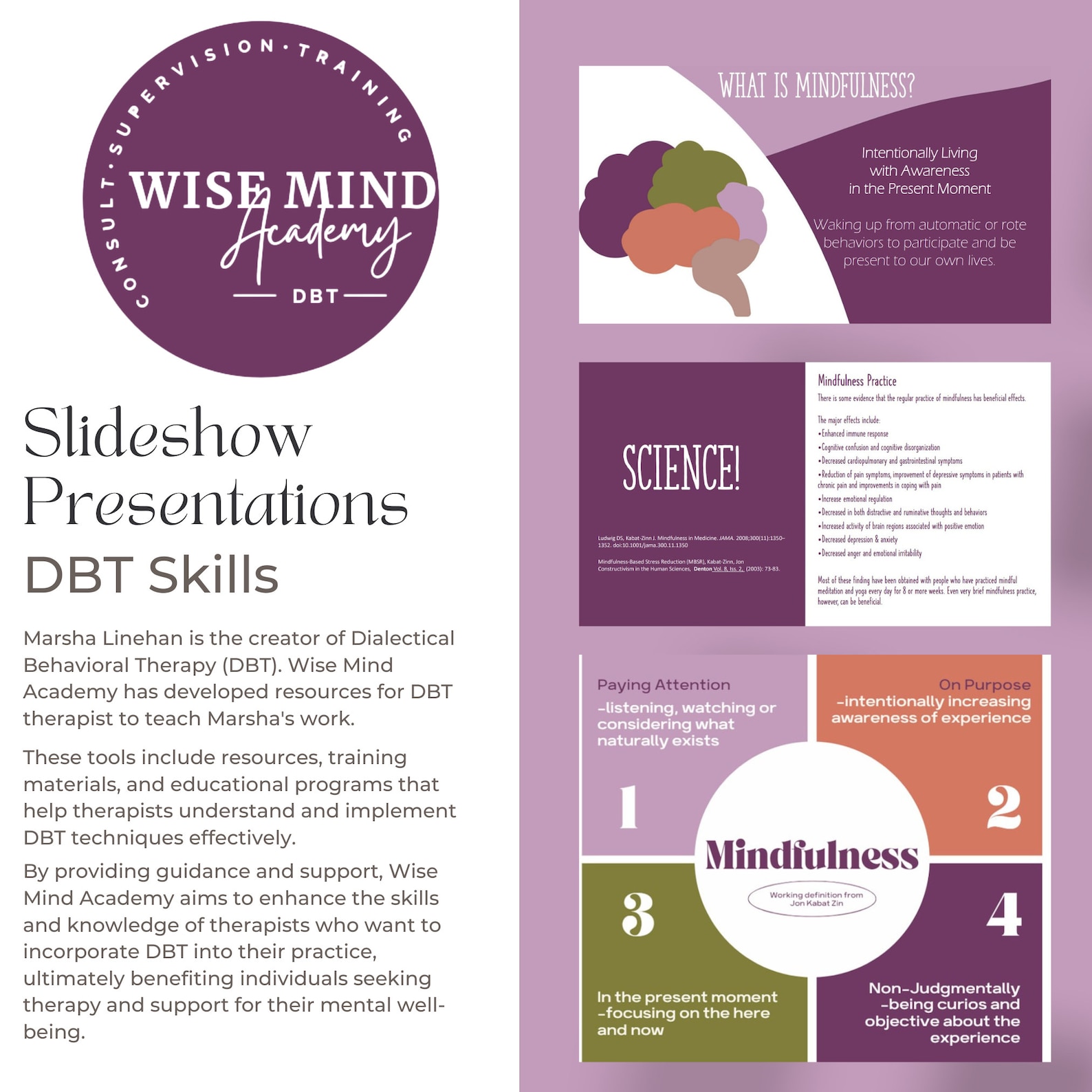 DBT WHAT Skill Presentation Slides for Observe Skill - Etsy