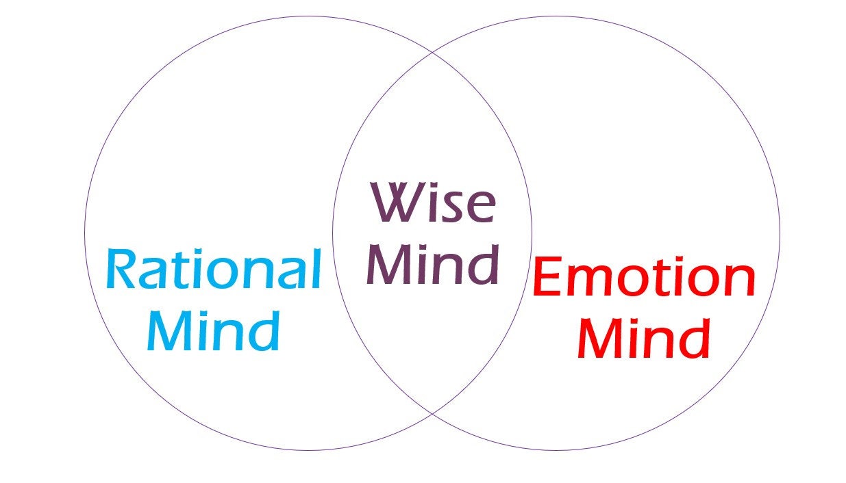 States of Mind DBT Skills Presentation With Worksheet - Etsy Australia