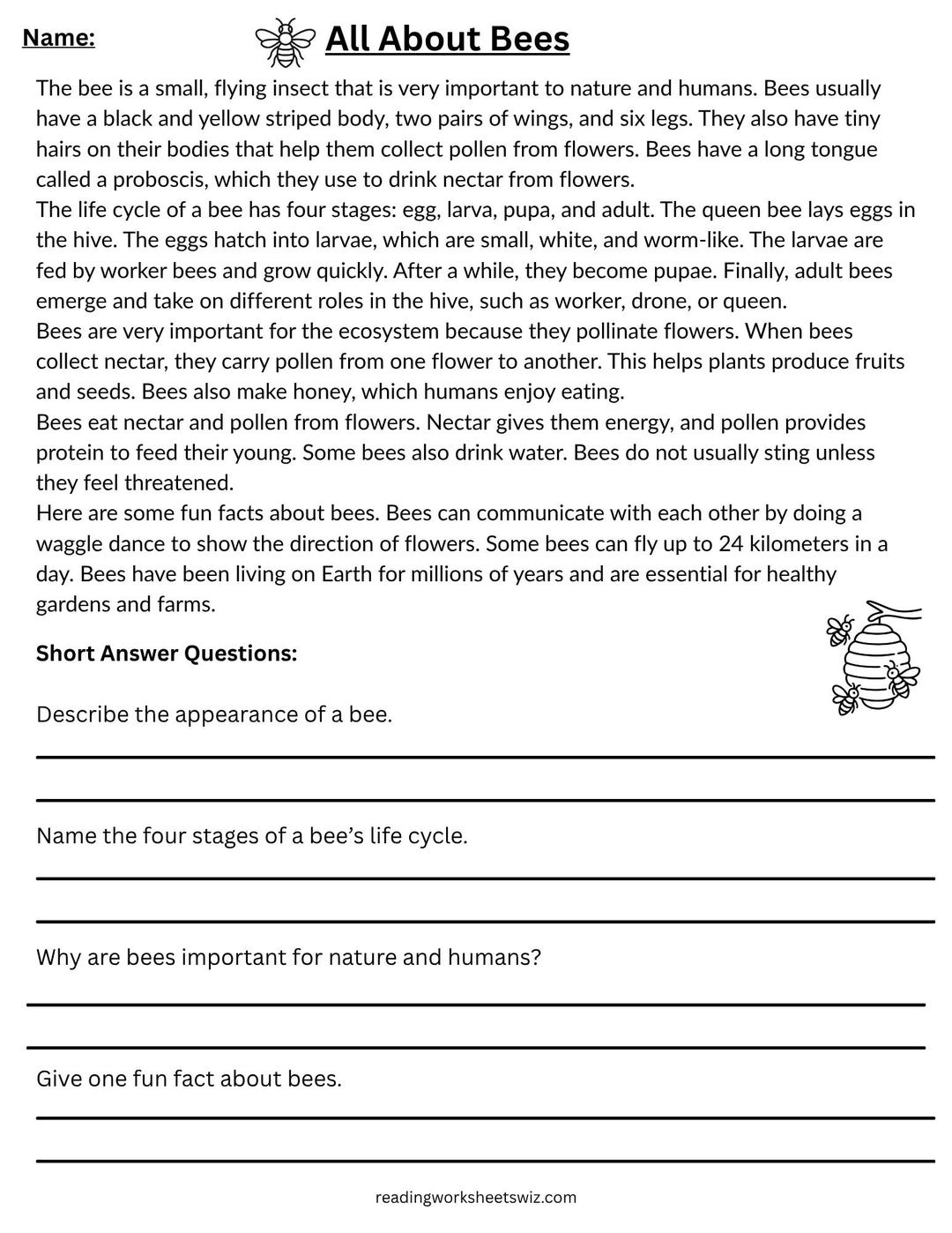 All About Insects Reading Comprehension Worksheets (21 Pages) - Etsy