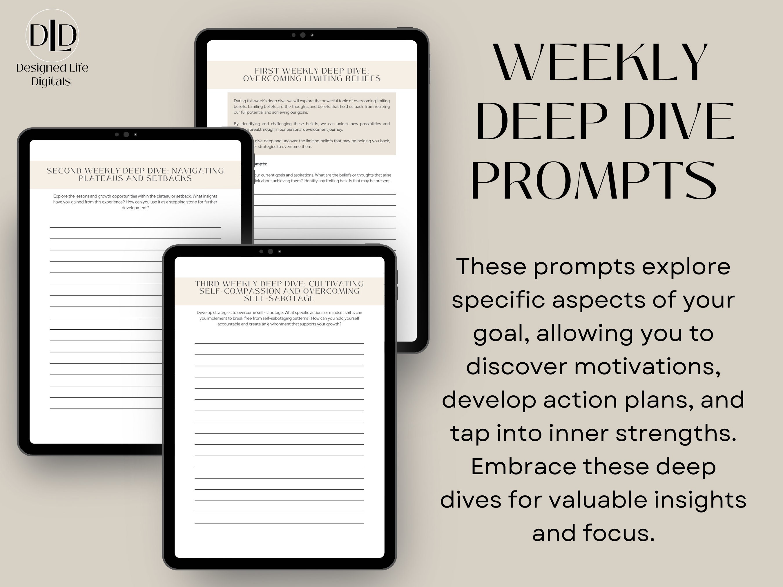 The 5-minute Succuss Journal, to Conquer Any Goal Within 4 Weeks ...