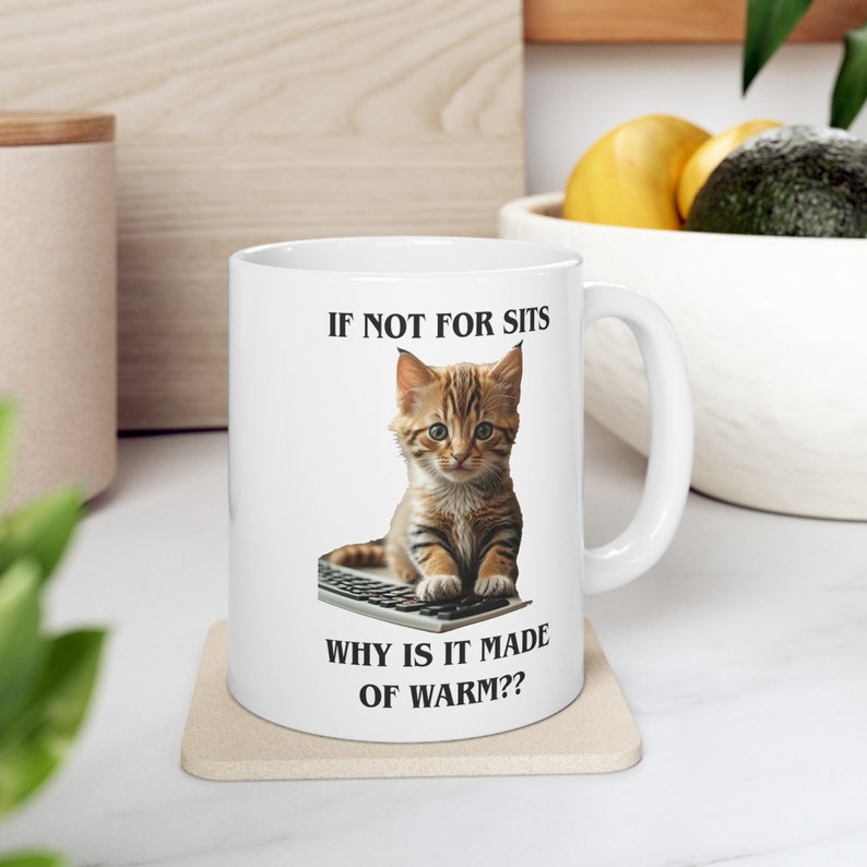 Cat on Keyboard Meme If Not for Sits Why is It Made of - Etsy