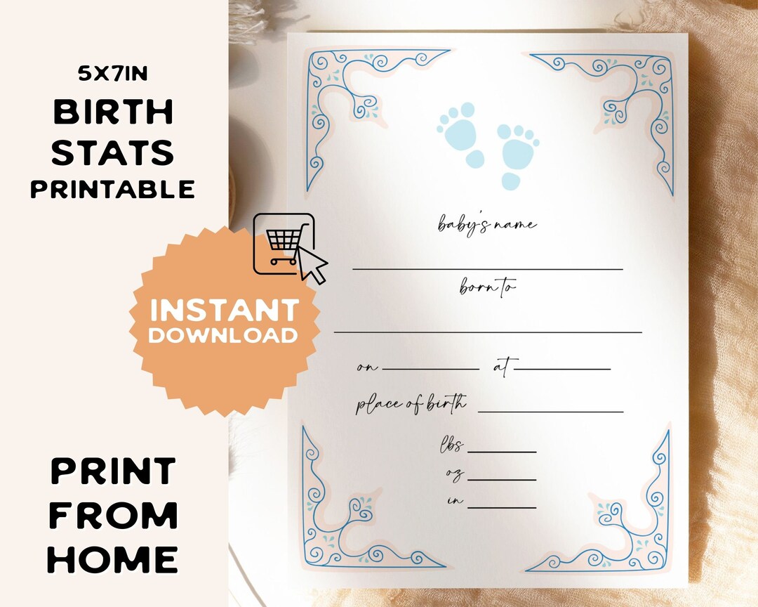 Baby Birth Stats Printable, Birth Stats Gift, Newborn Birth Stats ...