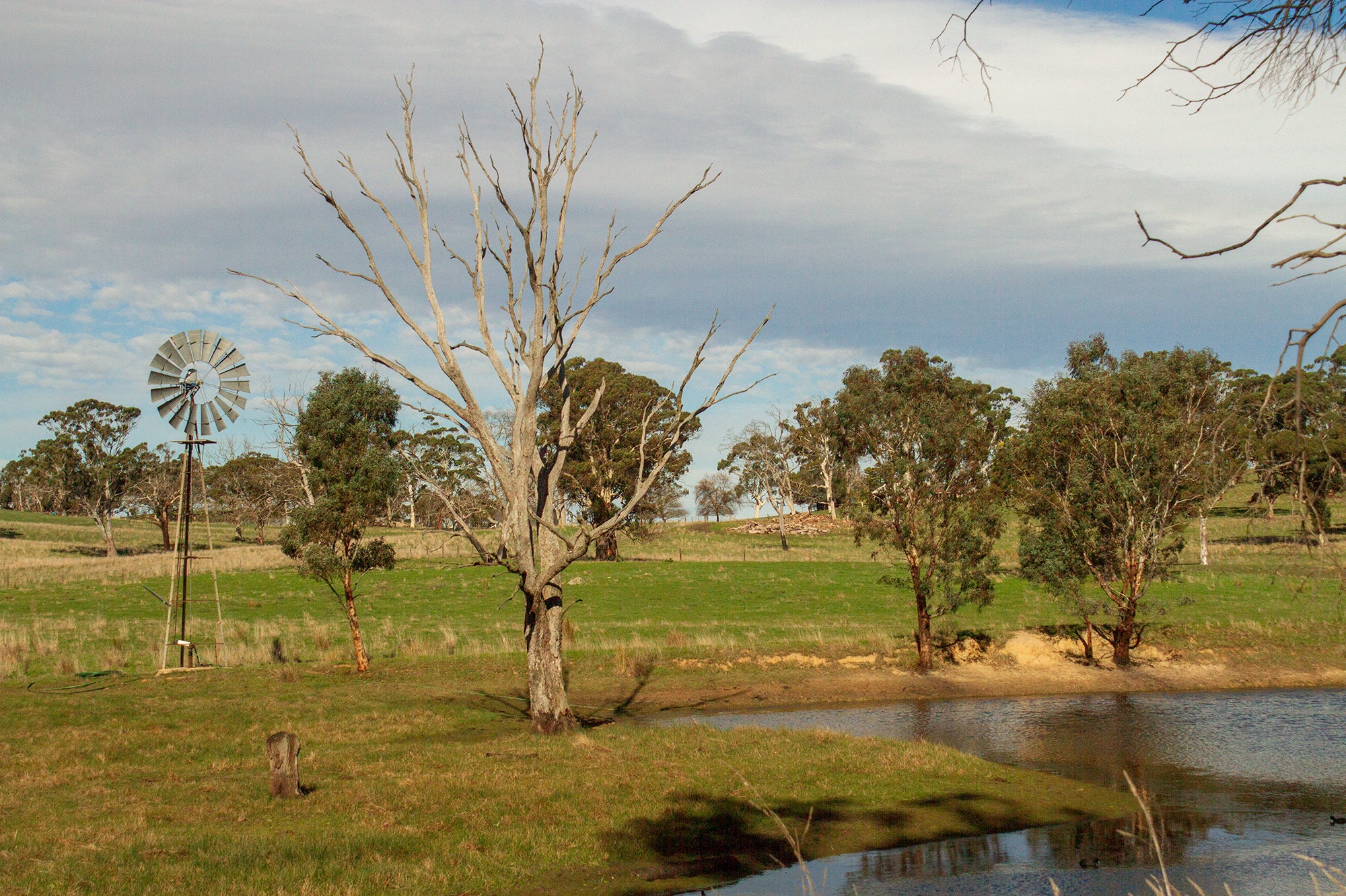 Posters Featuring Australian Landscape, Nature or Animals - Etsy