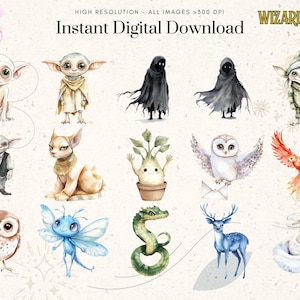 Wizard School Clipart ~ Cute Wizard Bundle ~ Witch PNG ~ Fantasy Magic ...