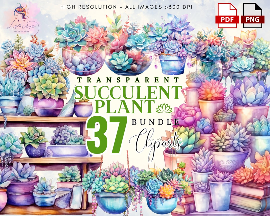 Succulent Plant Clipart~ 37 Watercolor Pastel Plant Png~ Botanical ...