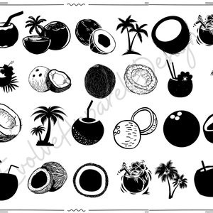 Coconut Svg,cracked Coconut Svg, Coconut Cricut, Coconut Cocktail Svg ...